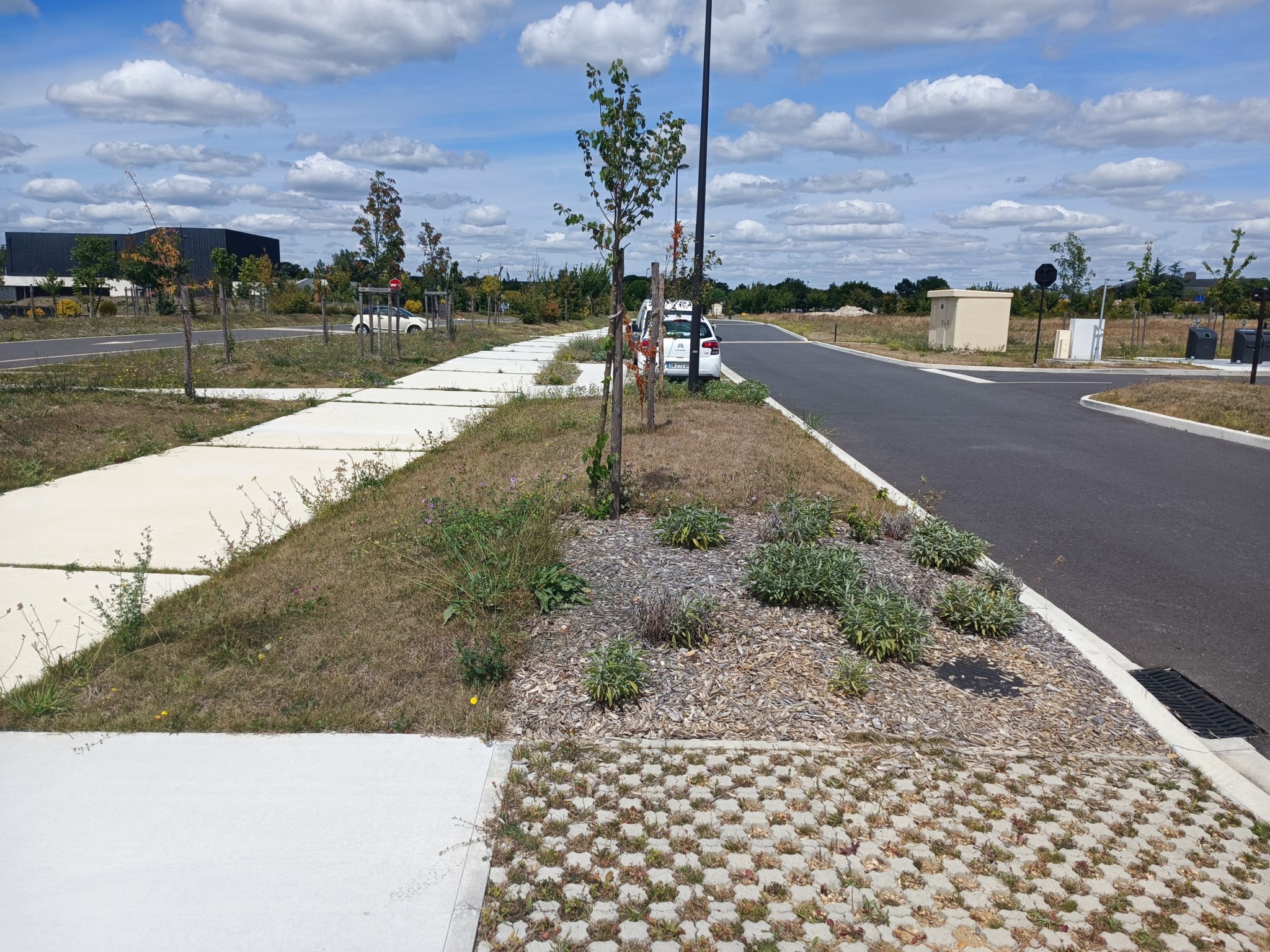 AMENAGEMENT DU LOTISSEMENT RUE OLYMPES DE GOUGES, CHATEAUBERNARD | GS Topo